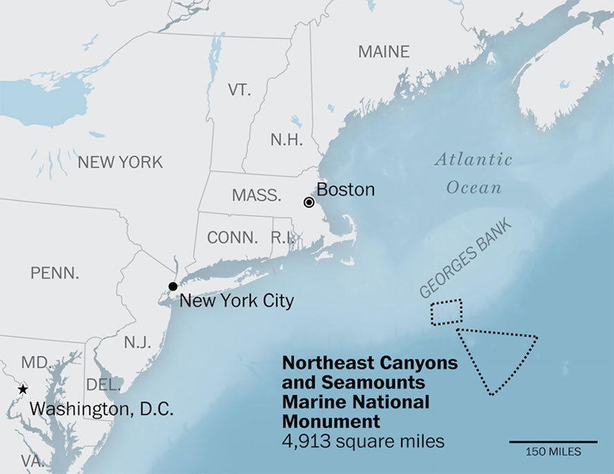 Ayana Elizabeth Johnson: Will the Ocean Run out of Fish? – This is Not Cool